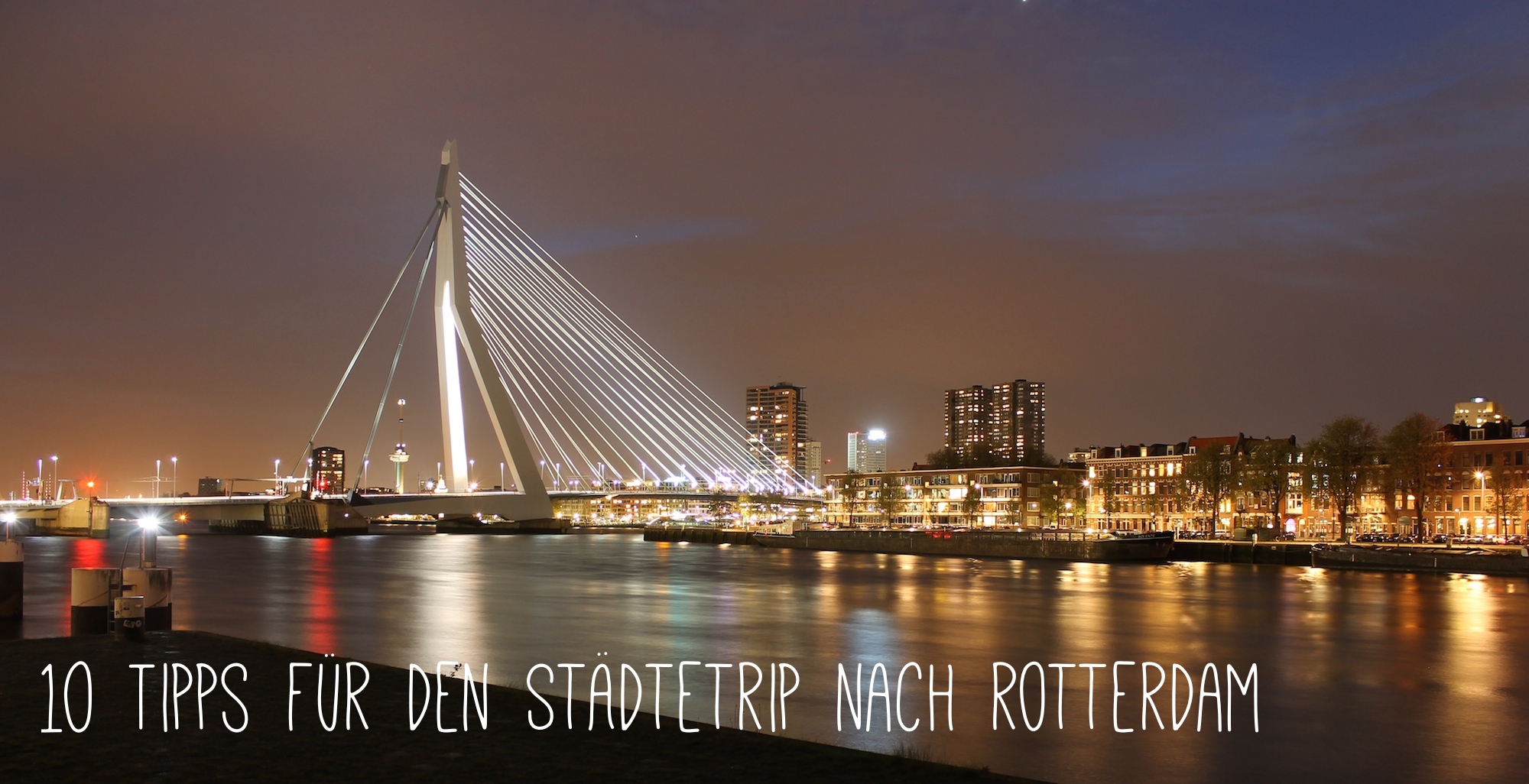 10 Tipps für den Städtetrip Rotterdam - WebundWelt